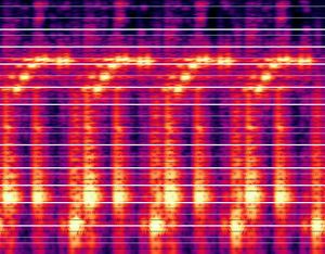 Spectrograms - WikiDelia